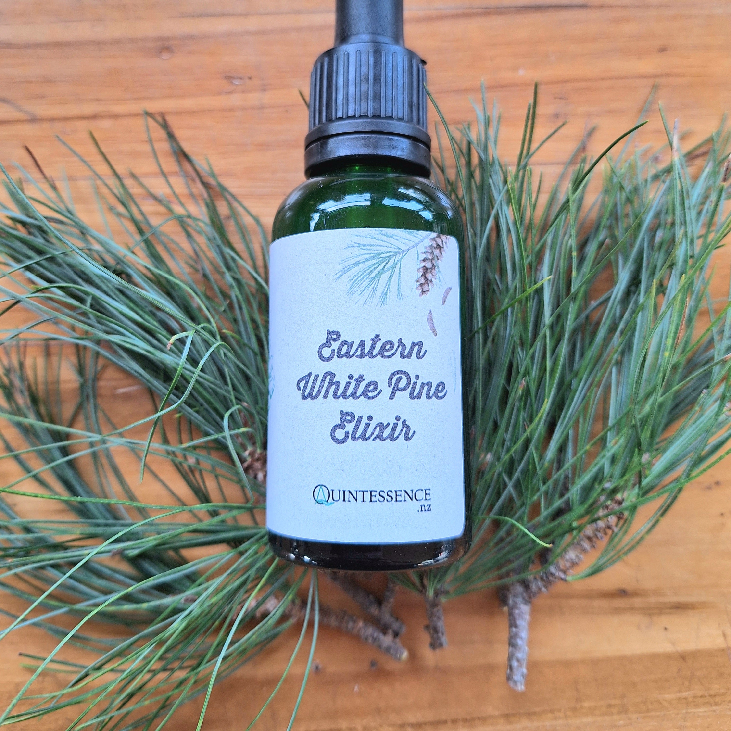 Eastern White Pine Elixir 30ml – Quintessence