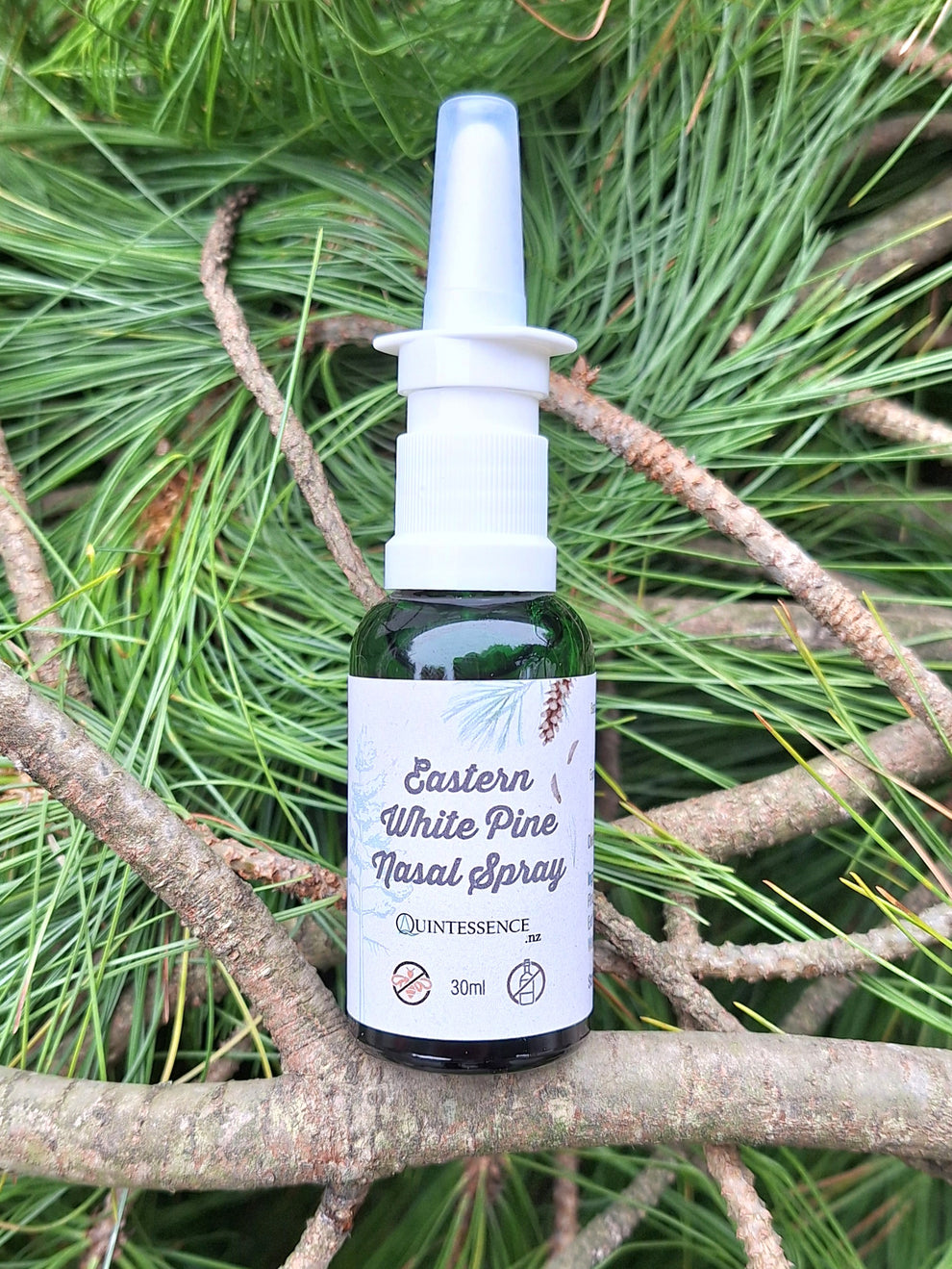 Eastern White Pine Glycerine Nasal Spray 30ml – Quintessence